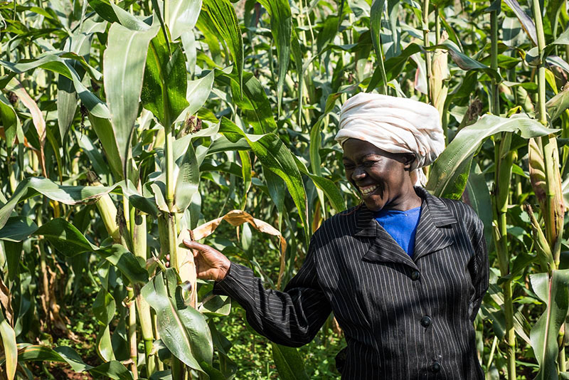 Four Echoing Green Fellows Selected for 2018 Audacious Project ...