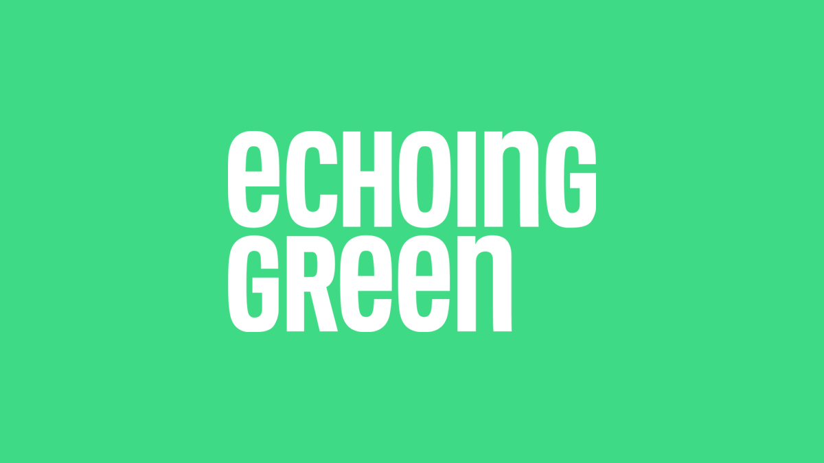 Echoing Green and Deloitte Health Equity Institute Launch Collaboration ...